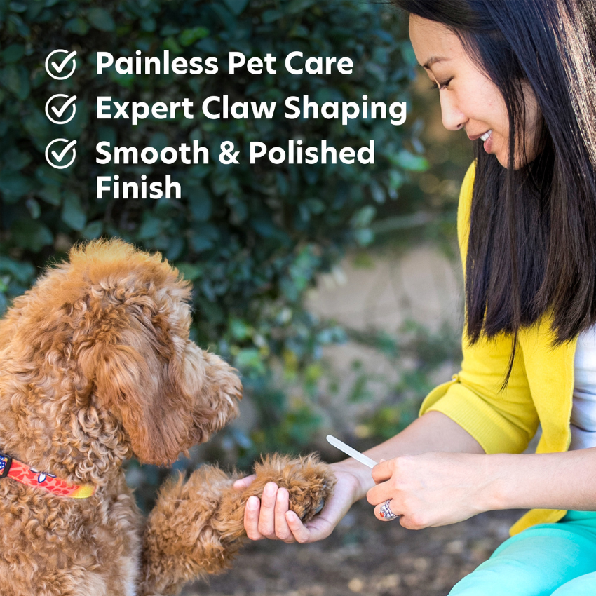 Gentle Glass File for Small Dogs, Cats, and Birds – Bona Fide Beauty